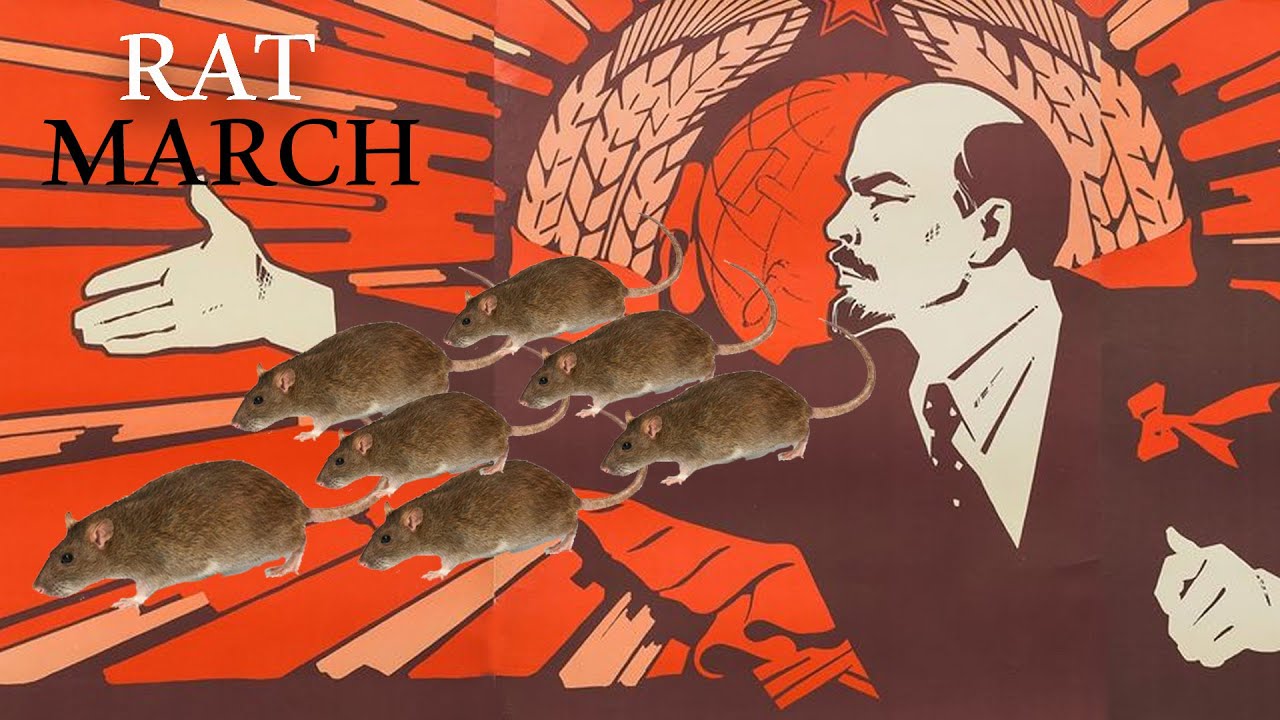 Rat March - THE WITCHER 3 - YouTube