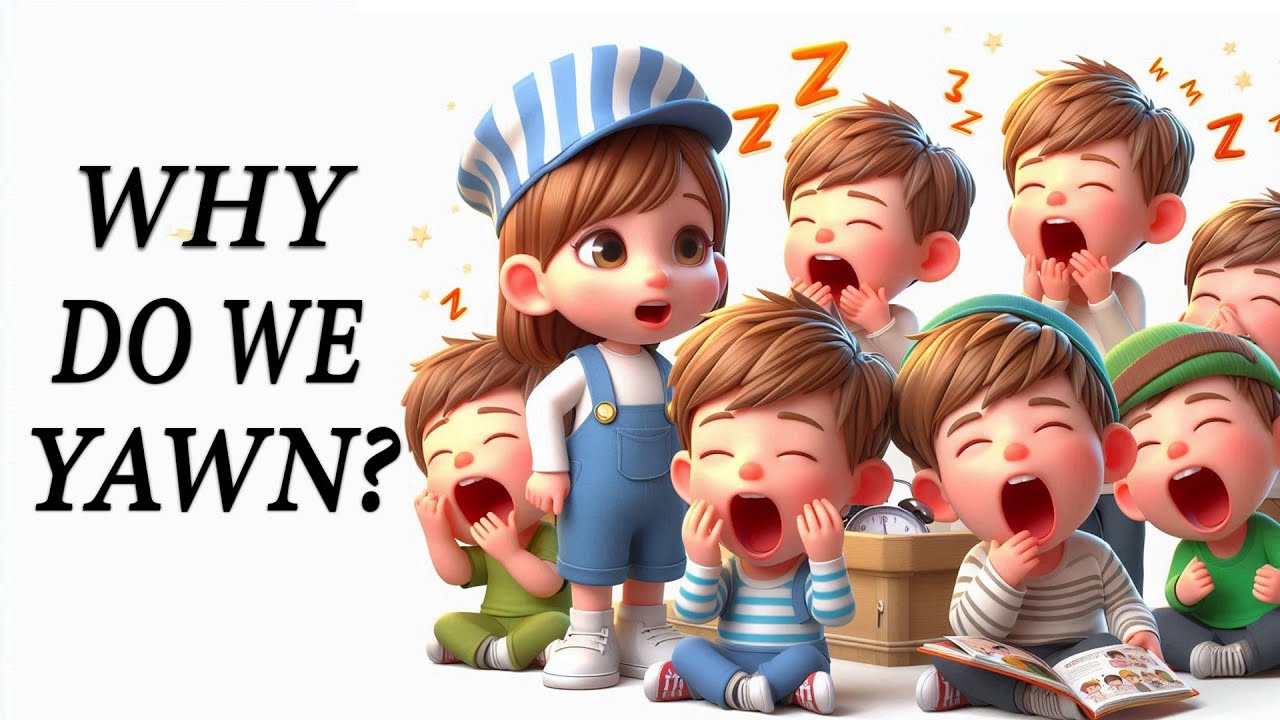 Why Do We Yawn? 😴 | Amazing Science Facts for Curious Kids! - YouTube