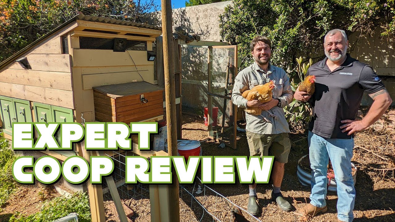 Chicken Coop Expert Rates My DIY Coop! - YouTube