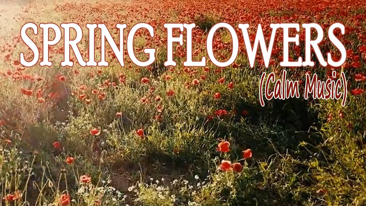 Spring Flower-Calm Music - YouTube