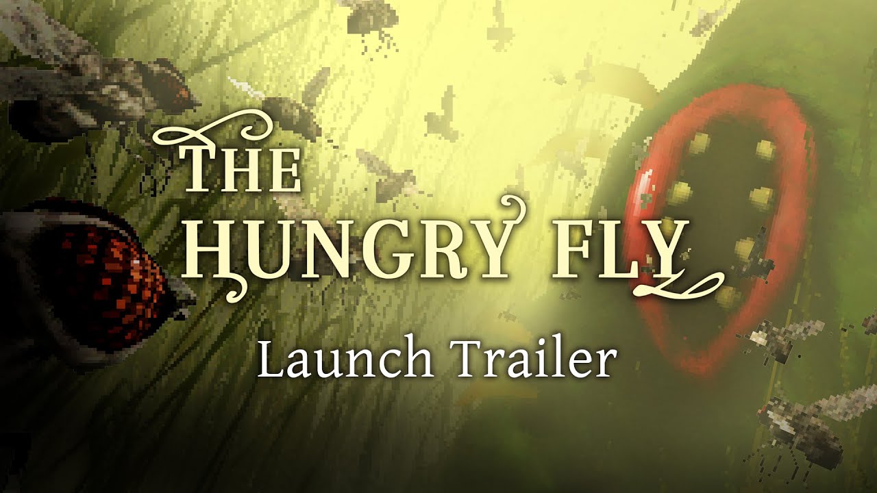 The Hungry Fly | Launch Trailer | indie.io - YouTube