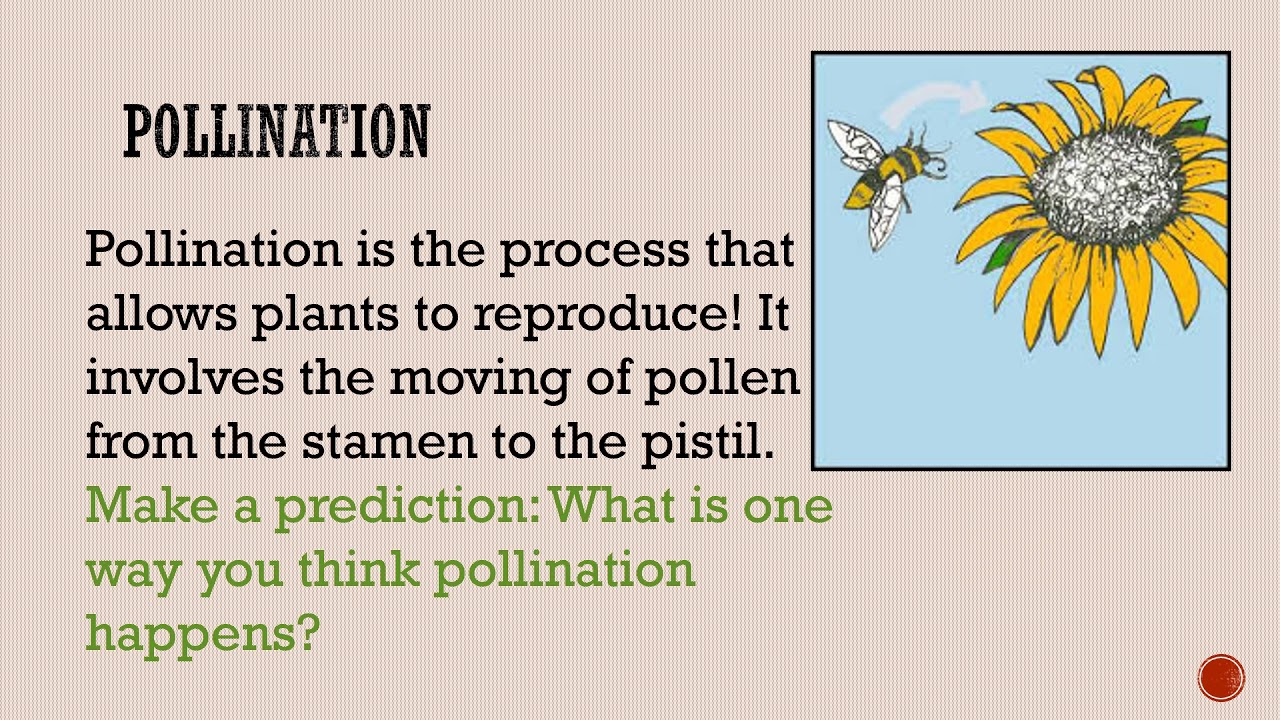 4 1 Science How Do Plants Reproduce YouTube 4-1-science-how-do-plants-reproduce-youtube
