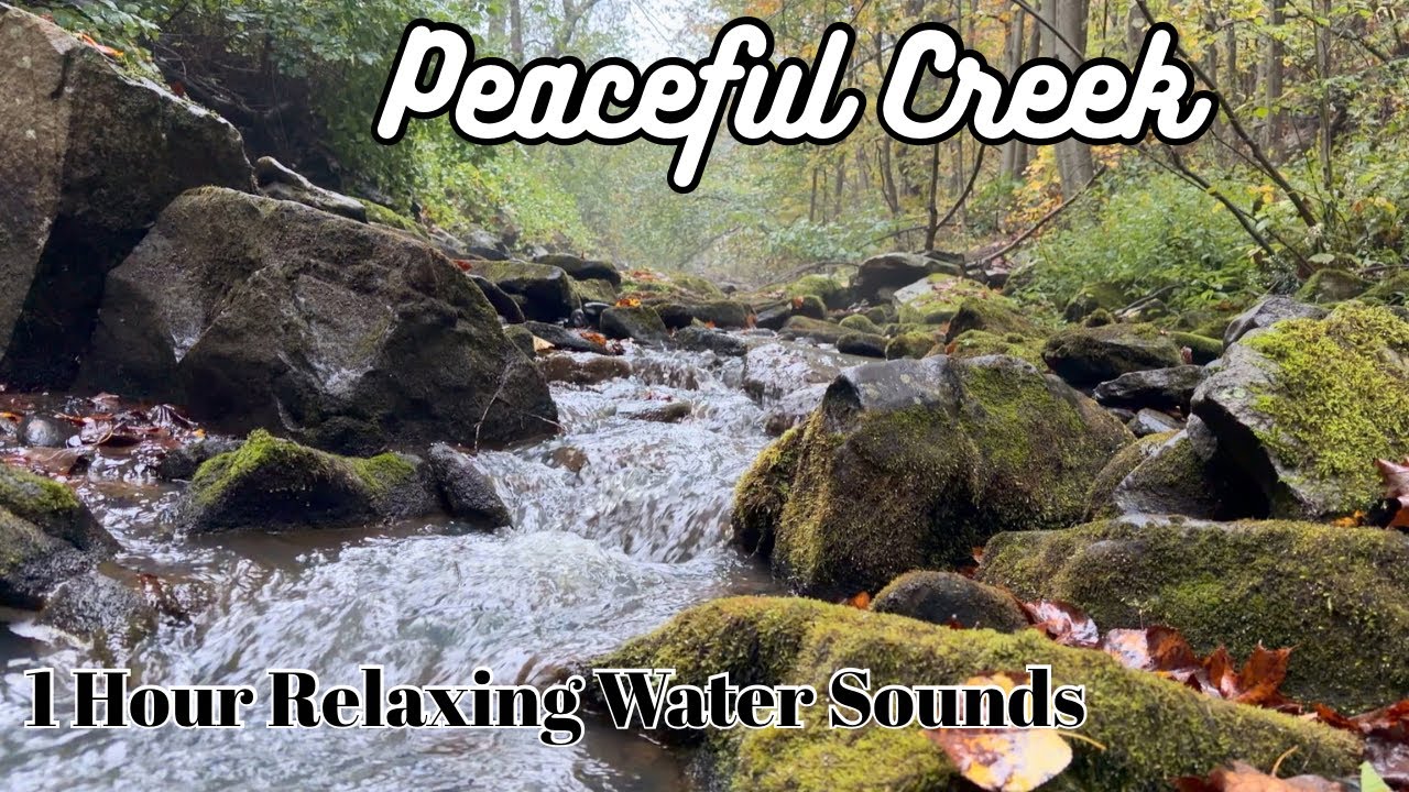 Relaxing Creek Sounds - 1 Hour Soothing Water Sounds - Peaceful - YouTube