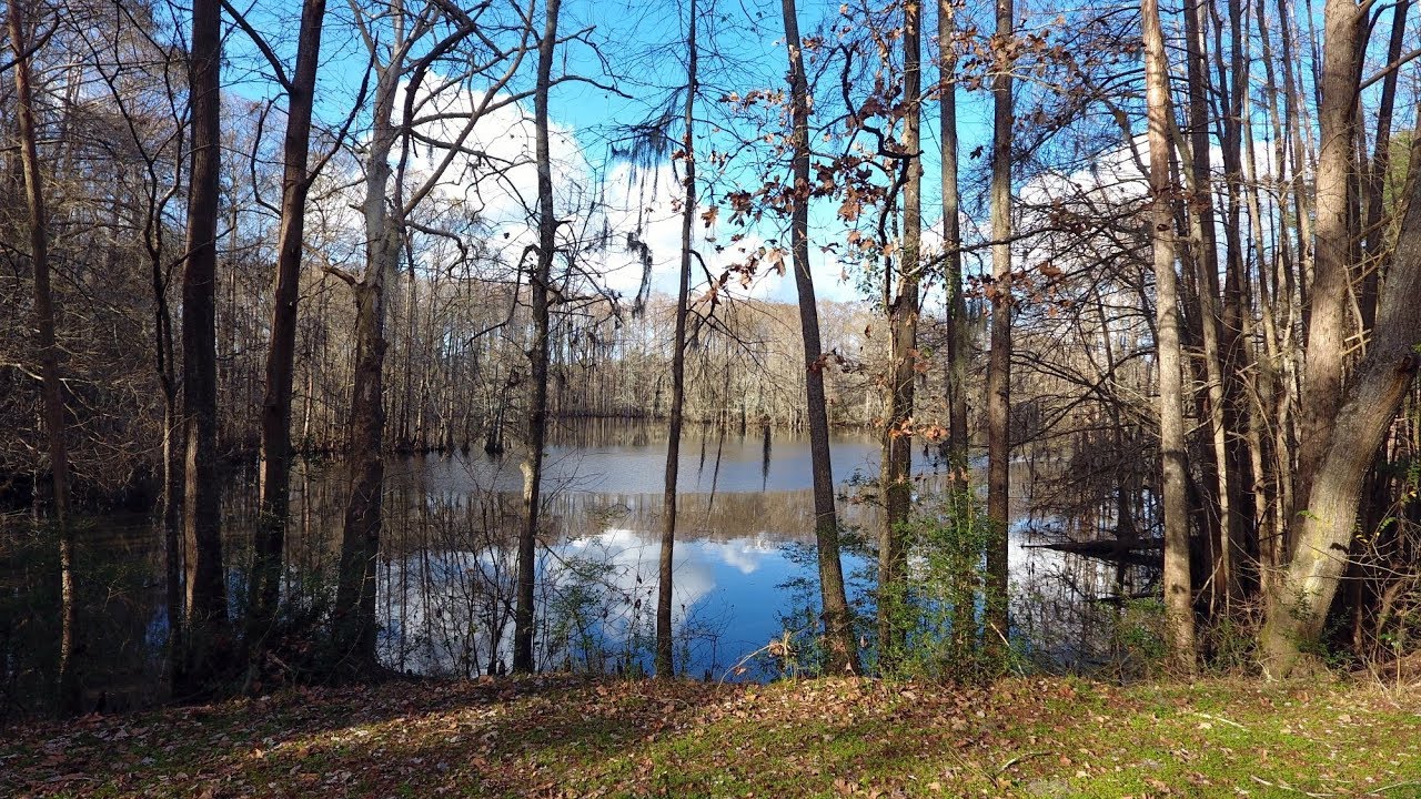 101 Rail Spur Part One Lot Views - YouTube