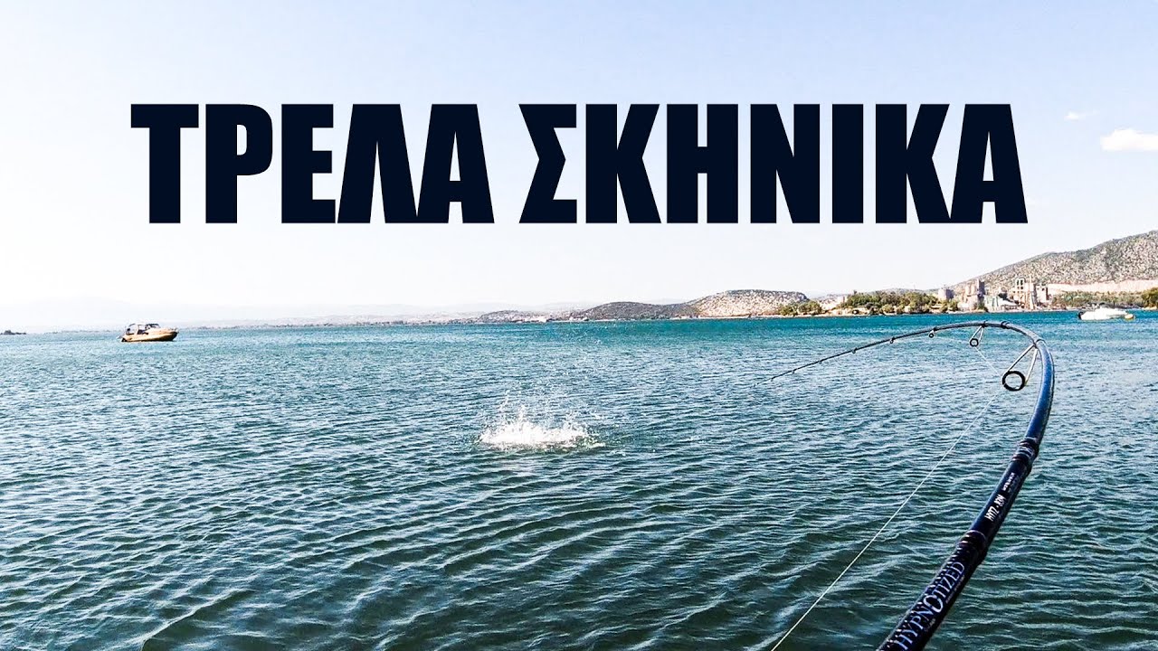 ΤΡΕΛΑ 🤪 ΣΚΗΝΙΚΑ ΣΤΟ ΨΑΡΕΜΑ - Ο ΛΟΓΟΣ 🎣 ΠΟΥ ΛΑΤΡΕΥΩ ΤΟ SPINNING💦 - YouTube