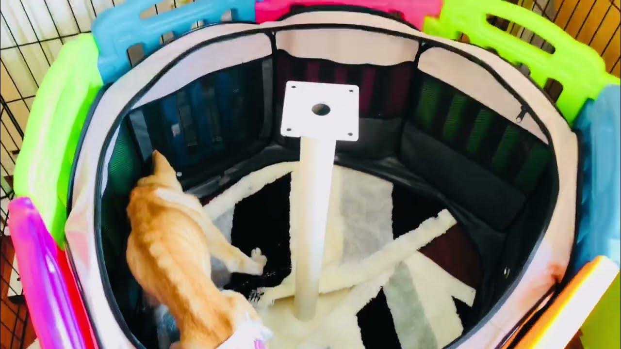 2023/05/29 - YouTube