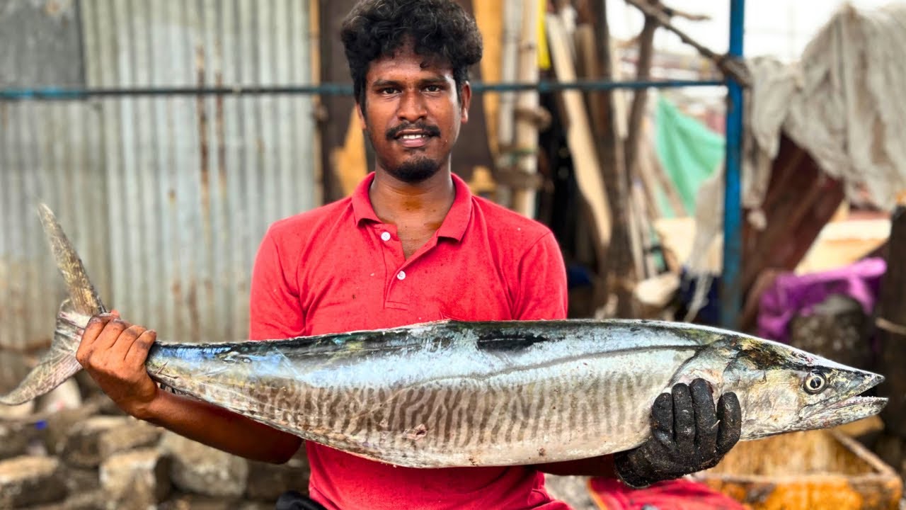 BIG SEER VANJARAM FISH CUTTING | HD VIDEO | IN KASIMEDU | CUTTING FOCUS ...