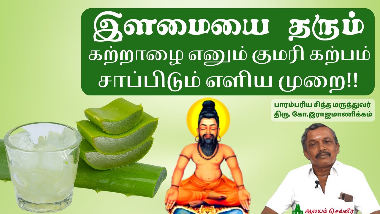 இளமையை தரும் கற்றாழை எனும் குமரி கற்பம் சாப்பிடும் முறை Katralai ...