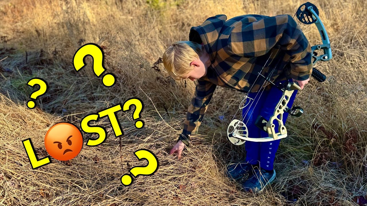 Tired of losing your arrows? TRY THIS! CHEAP DIY archery backstop - YouTube