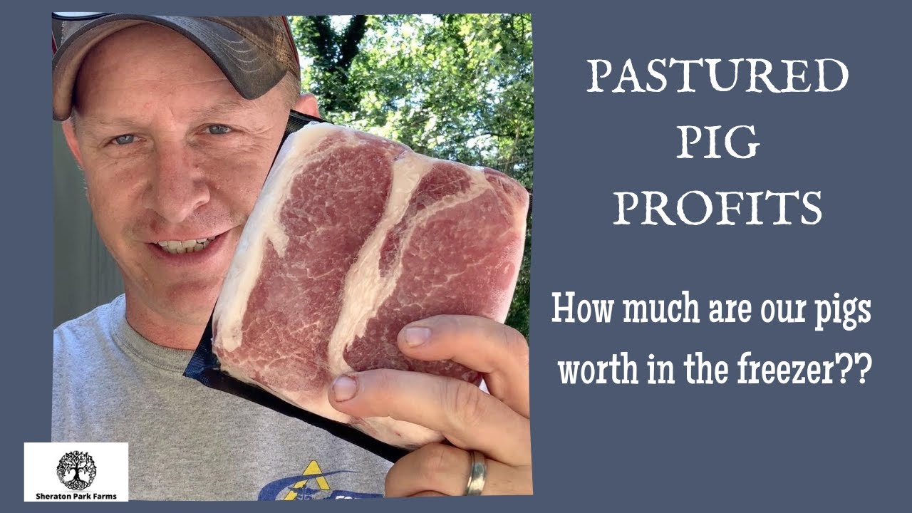 Pastured Pork Profits - Make Money With Pastured Pigs - YouTube