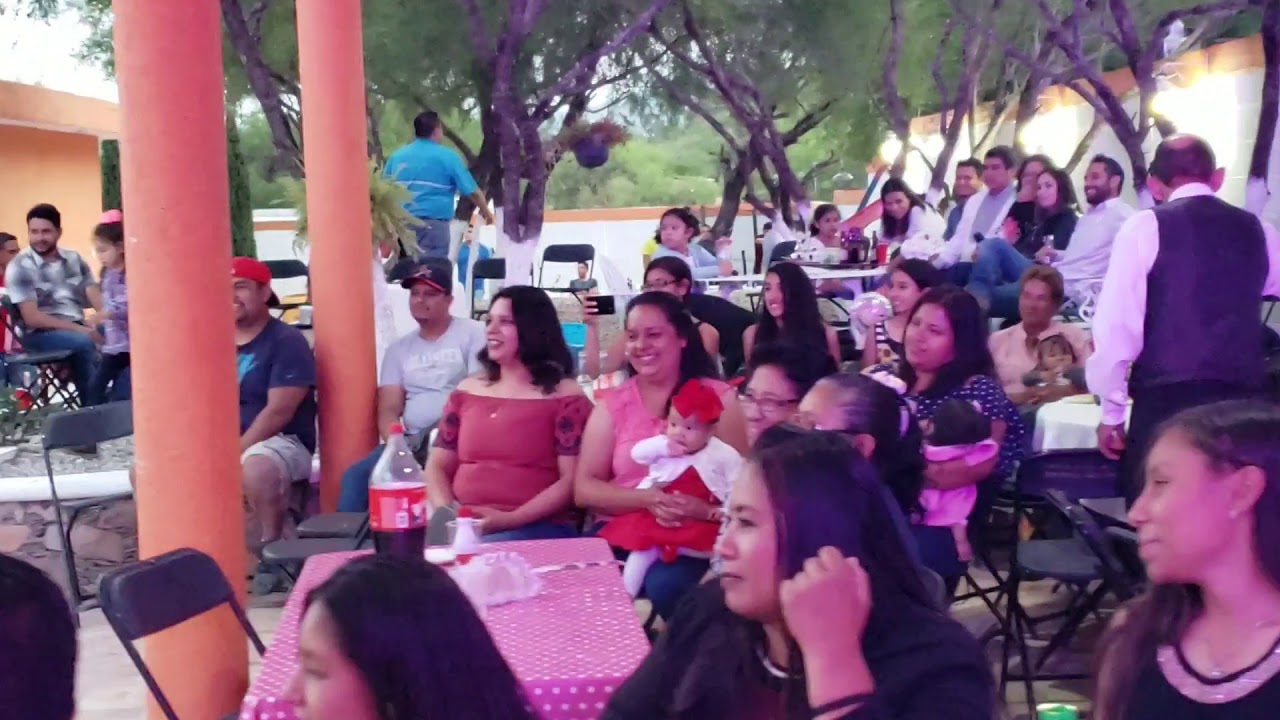 BANANAS RANAS !!(1) - YouTube