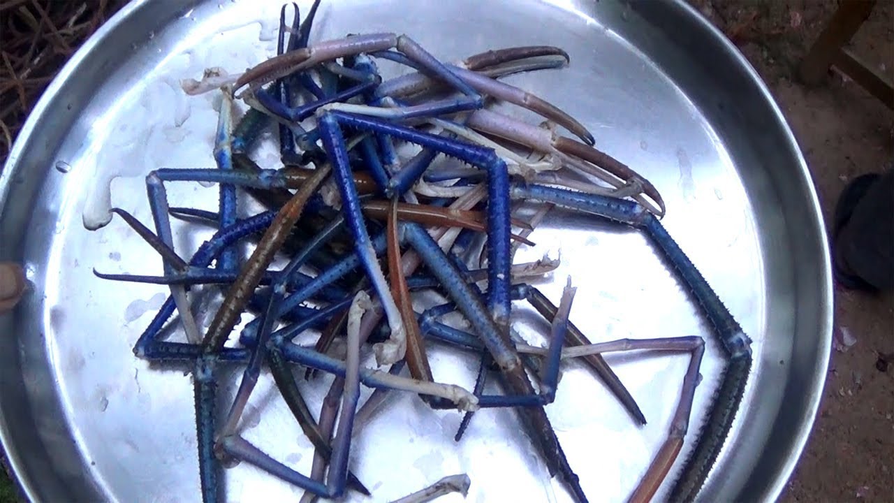 Prawn Fish Leg Fry Easy & Amazing Tasty Village Food Recipe | Chingri ...