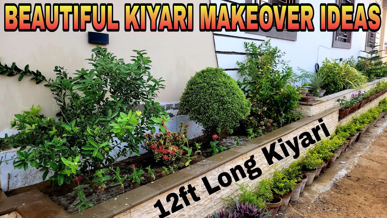 Beautiful Kiyari Bordering Makeover with Zinnias flowers plant | Home ...