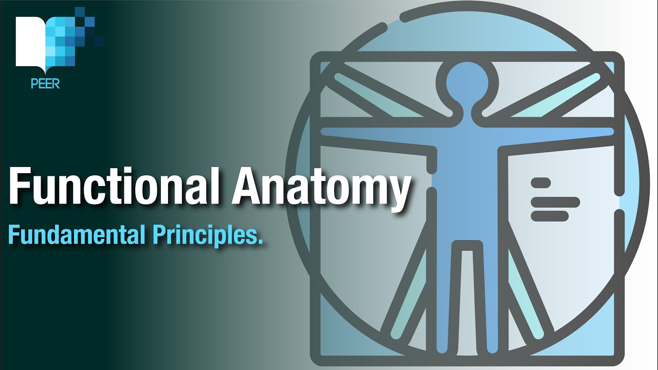 The Fundamental Principles of Functional Anatomy - YouTube