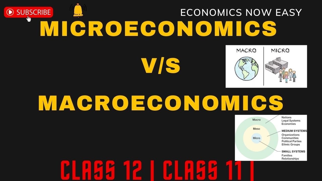 DIFFERENCE BETWEEN MICRO AND MACRO ECONOMICS - YouTube
