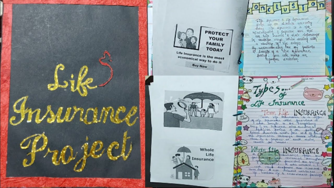 Life Insurance Project | Banking and Insurance project | Creative ...