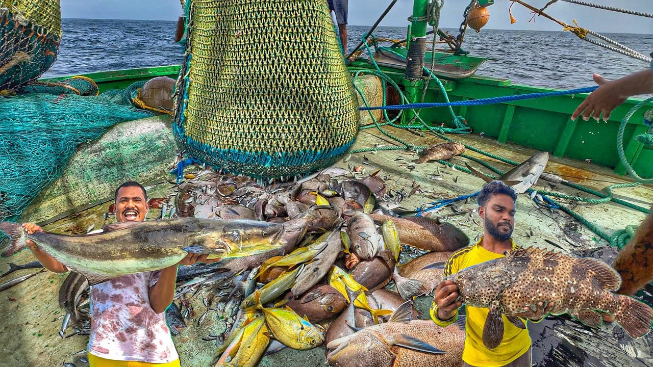 GREAT FISHING DAY ! Huge Kuruvalai & King Fish Catch 🔥| Big Trawl Day ...
