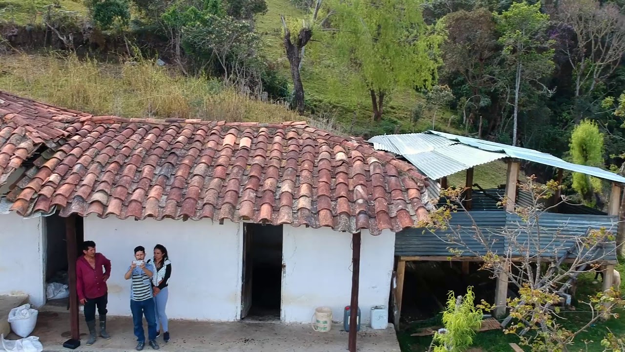 Guaca Santander - YouTube