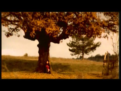 Metin Çiftlik-Günün Birinde