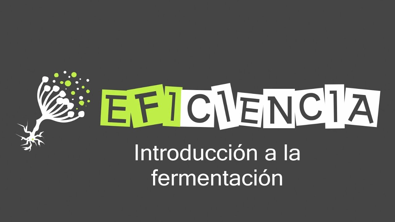 INTRODUCCIÓN A LA FERMENTACIÓN. Anaerobia Alcohólica Láctica Ácido ...