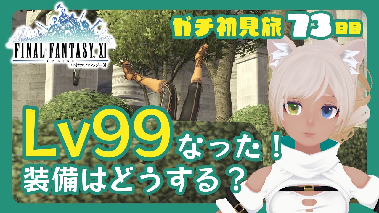 【FF11初見】(73)シーフLv99なった！装備はどうする？ - YouTube