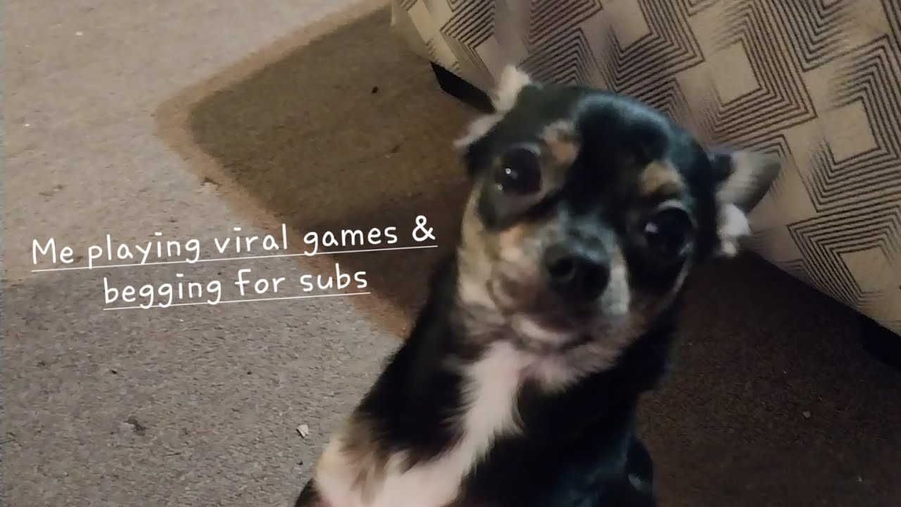 silant game play of bou roblox game - YouTube