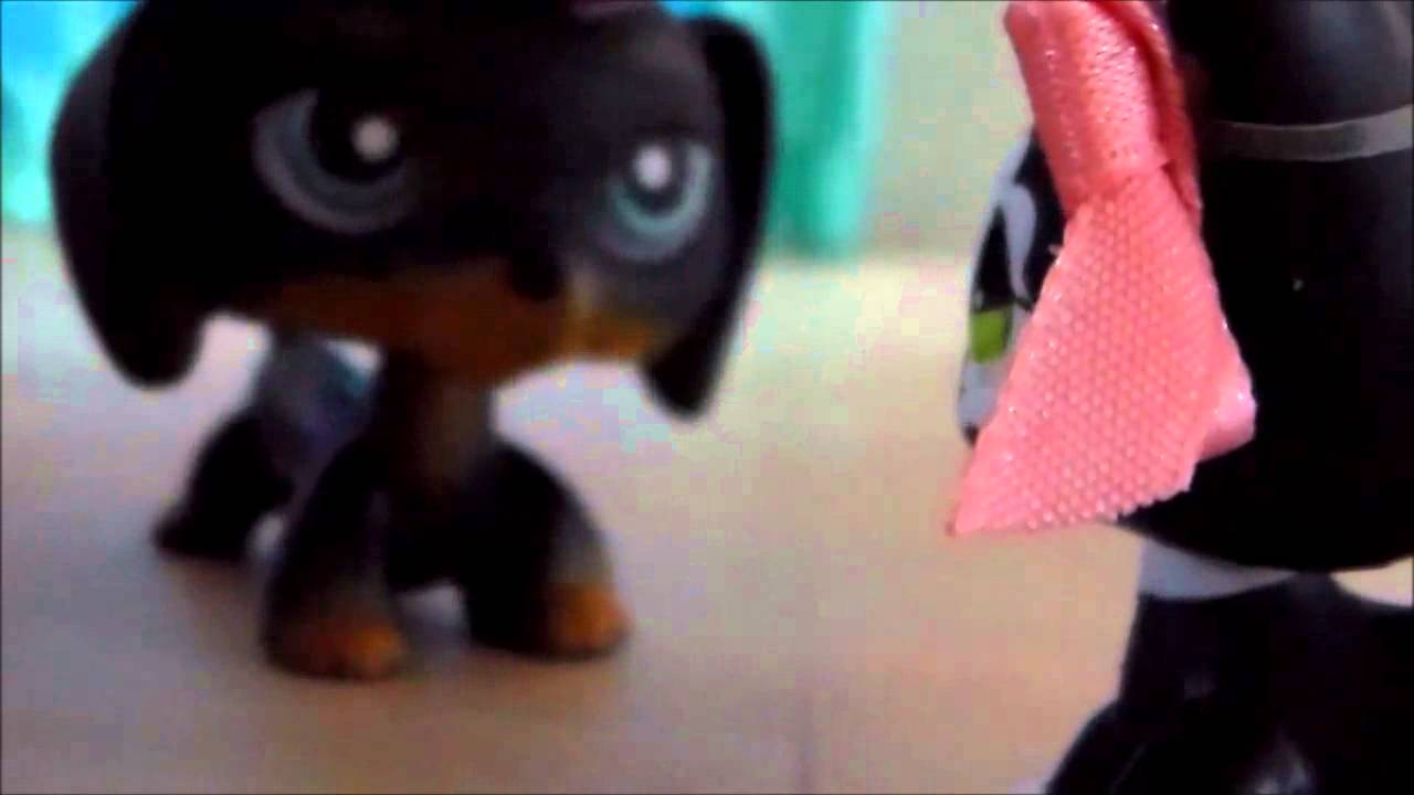 Lps : ~heros ~ part 1 - YouTube