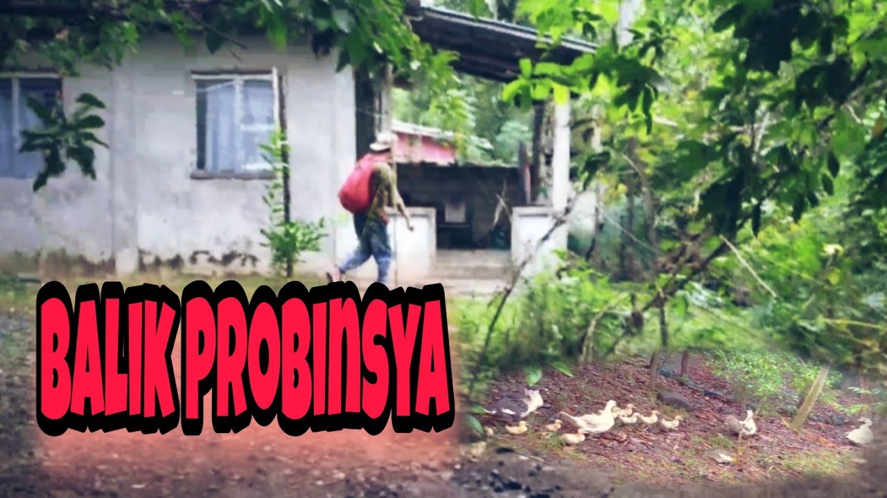 Balik Probinsya + Mini House Tour | Jhezrylle Mon Vlog #27 - YouTube