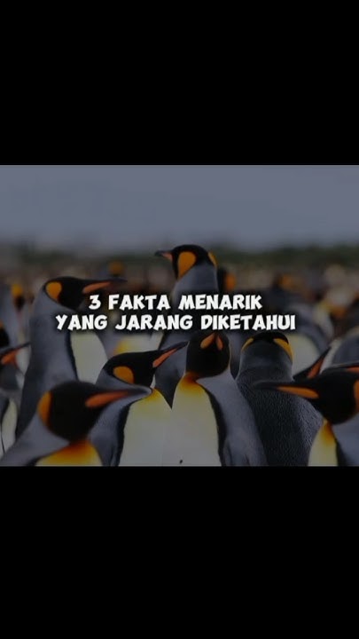 "3 Fakta Unik yang Jarang Diketahui dan Bikin Kamu Terkejut!" #facts#education #faktaunik# ...