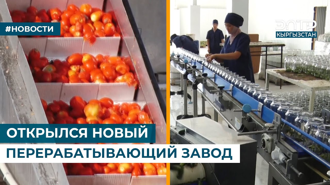 ОТКРЫЛСЯ НОВЫЙ ПЕРЕРАБАТЫВАЮЩИЙ ЗАВОД Youtube
