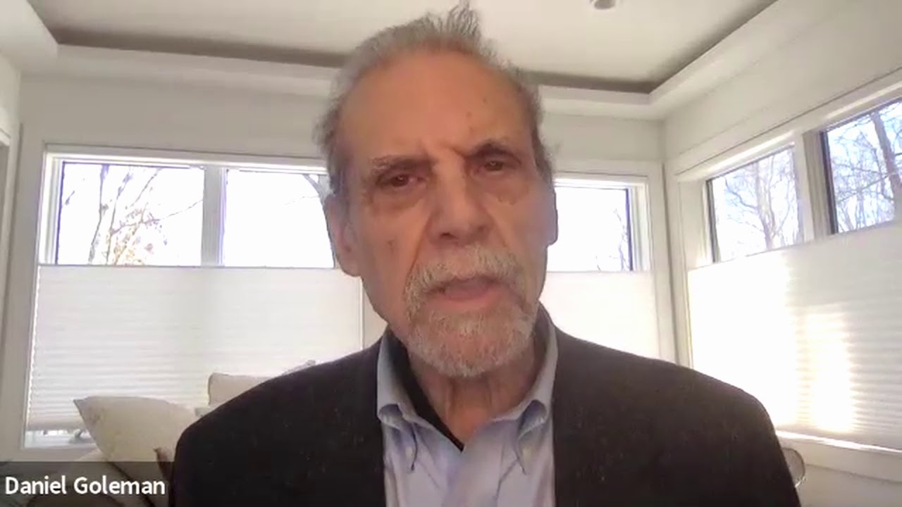 Dan Goleman Promo Nov 6 Event - YouTube