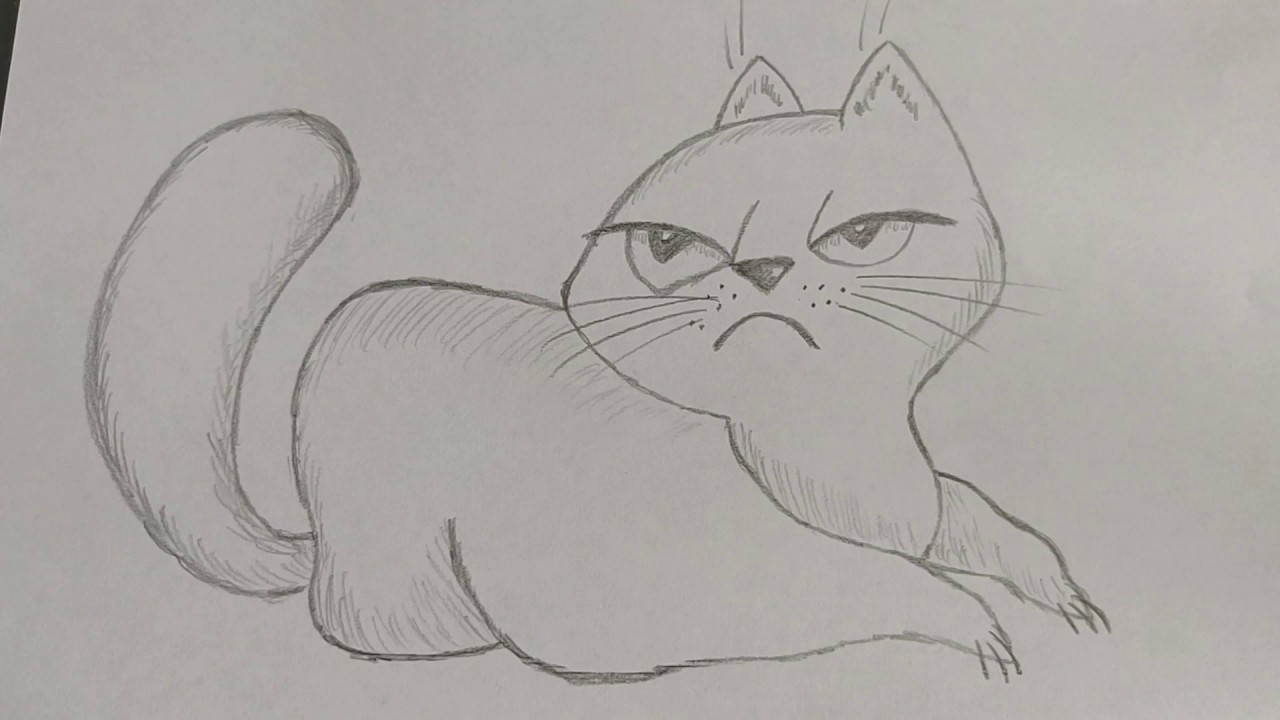 How to draw a Cat (cartoon) step by step _2 - YouTube