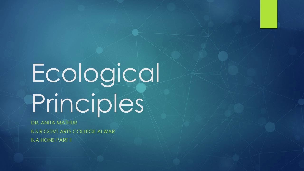 Ecological Principles - YouTube