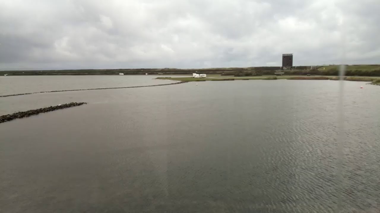 Livestream Pooltje Brouwersdam - YouTube