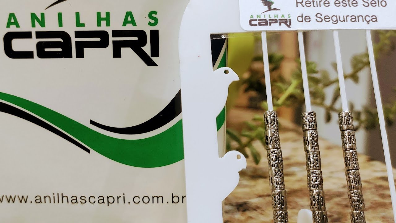 KIT DE SEXAGEM JUNTO COM AS ANILHAS CAPRI SISPASS PORQUÊ ? - YouTube