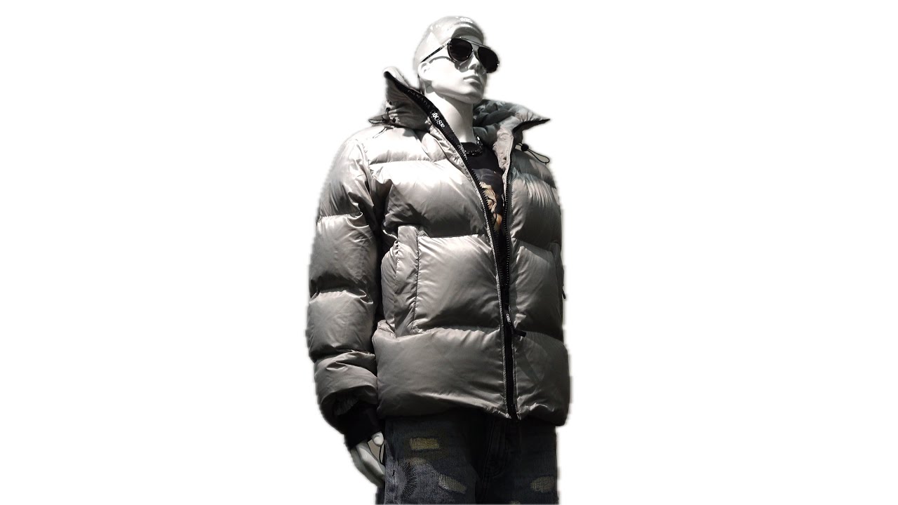 Canada goose X Ray original - YouTube