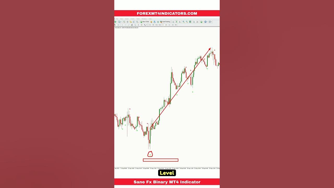Sane Fx Binary MT4 Indicator - YouTube