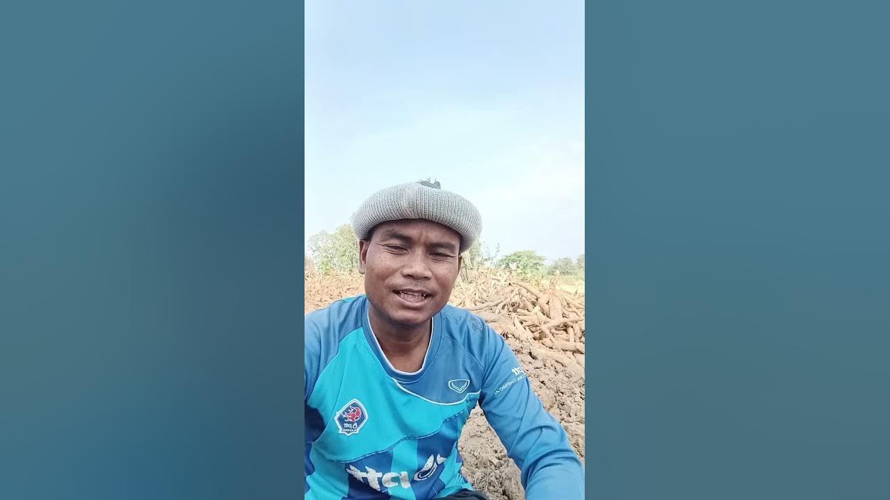 ทำไร่มันสําปะหลังฟรีขาดทุนยับ#พรานบ้านๆ - YouTube