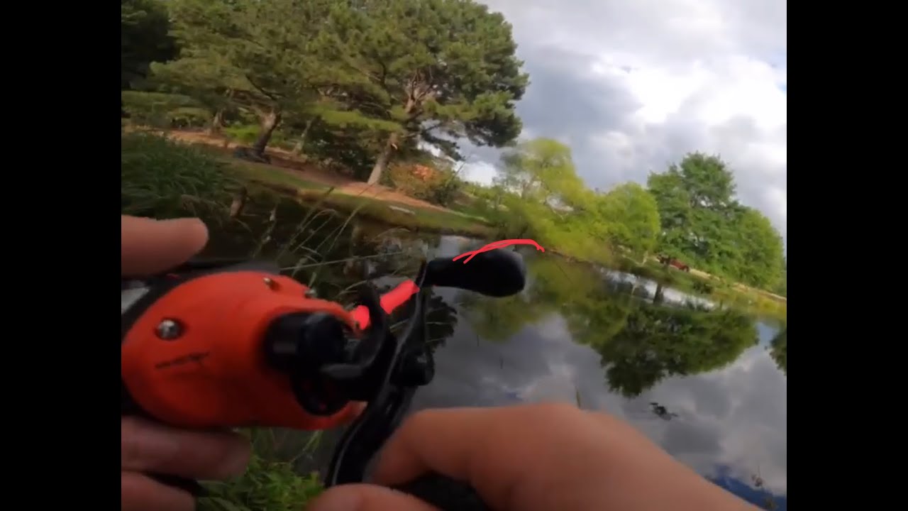 Record day of bass fishing…10 POUND LARGEMOUTH BASS - YouTube