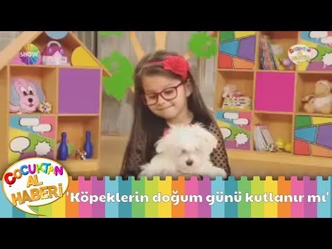 Derin 'Köpeklerin doğum günü kutlanır mı'