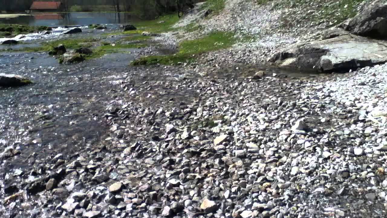 Citizens of the Plav Guci call for support, for protection of ...