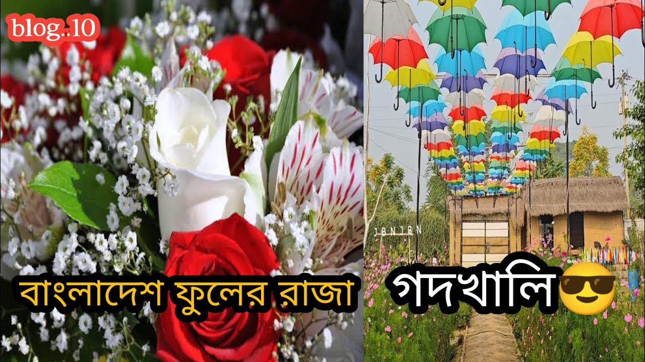 ফুলের রাজা গদখালি অনুষ্ঠান। godkali.. BIDDUT IS BACK। 😍its biddut - YouTube