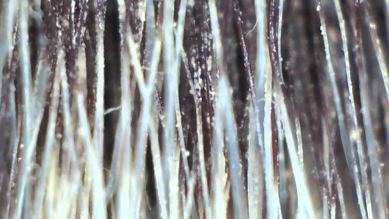 Under the Microscope: RealTechniques Buffing Brush | Apartment 54 - YouTube