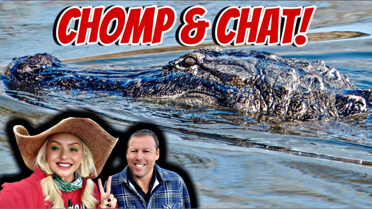 Alligator Feeding! CHOMP & CHAT! - YouTube