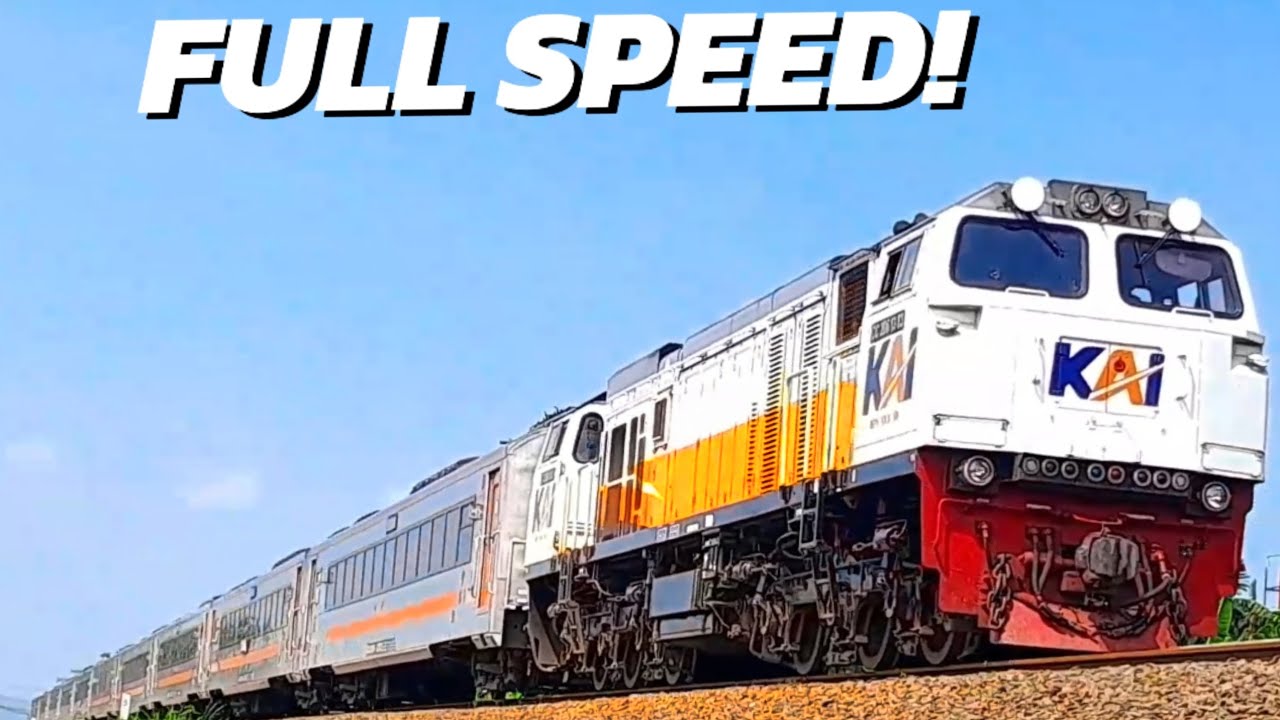 DANGER AHEAD: Malabar Express Races Past Packed Railway Crossing [Heart ...