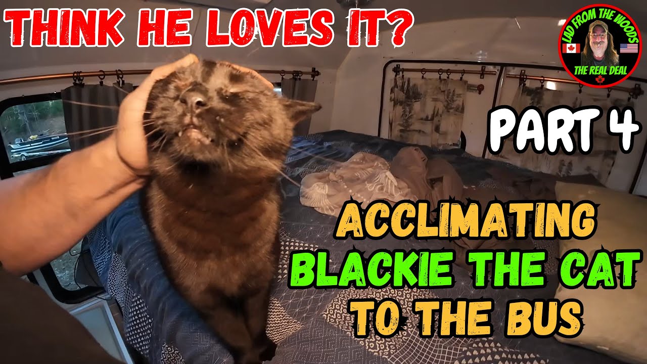 04-16-24 | Acclimating Blackie The Cat To The Bus, Think He Loves It ...