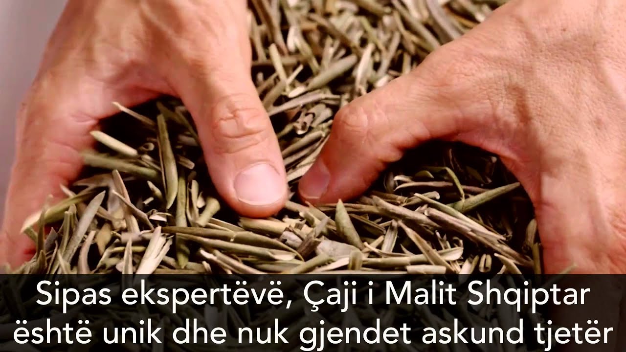 Çaji i Malit Shqiptar - Unik në Vlera - YouTube