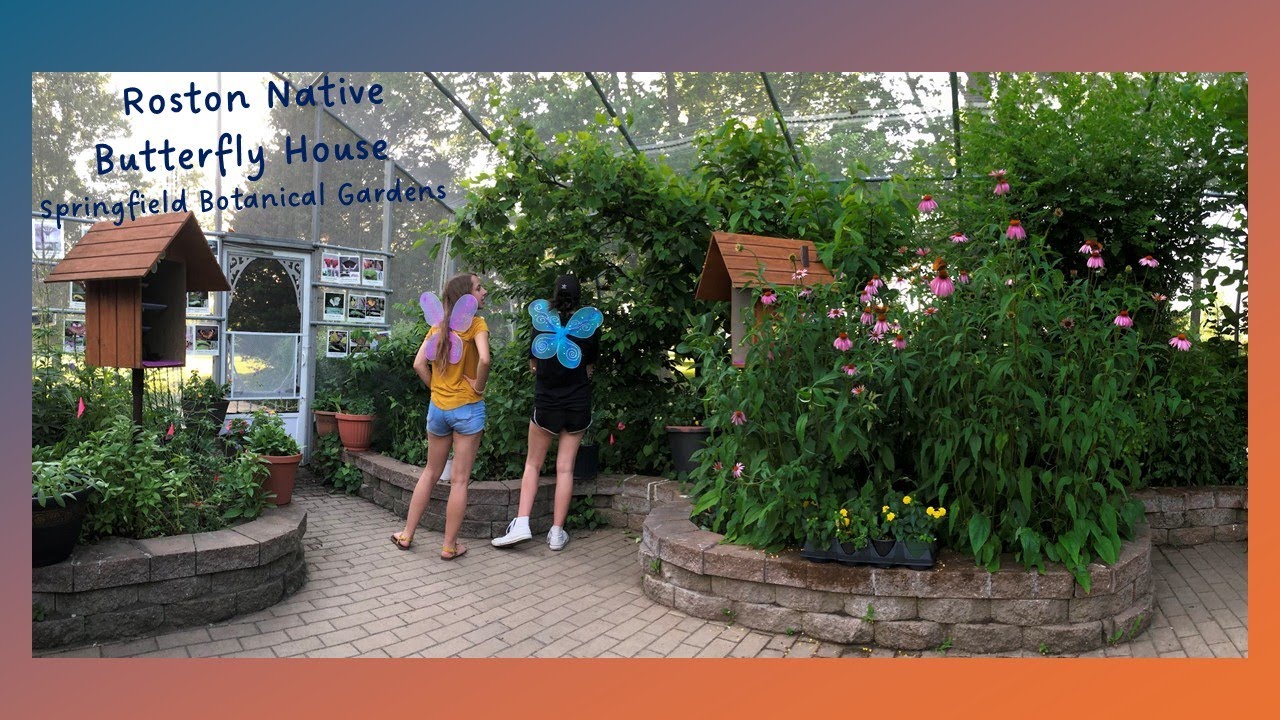 Springfield Missouri Botanical Garden has a BUTTERFLY HOUSE! - YouTube