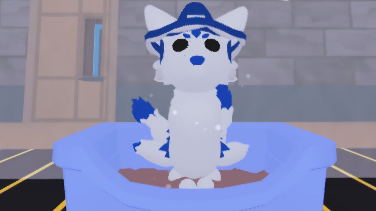 Is there a cat litter? [Roblox - Adopt me] [Update] - YouTube
