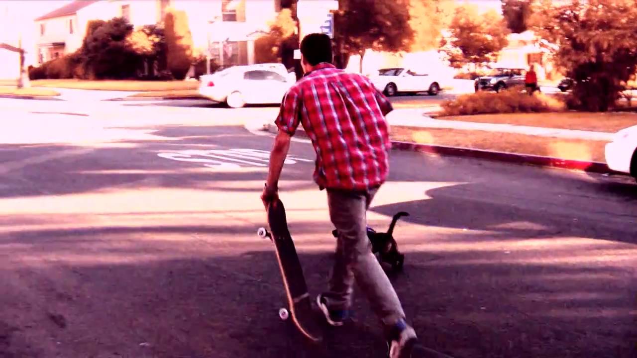 Steve-O skates in our music video! "Contrary to Popular Belief." by Odd ...